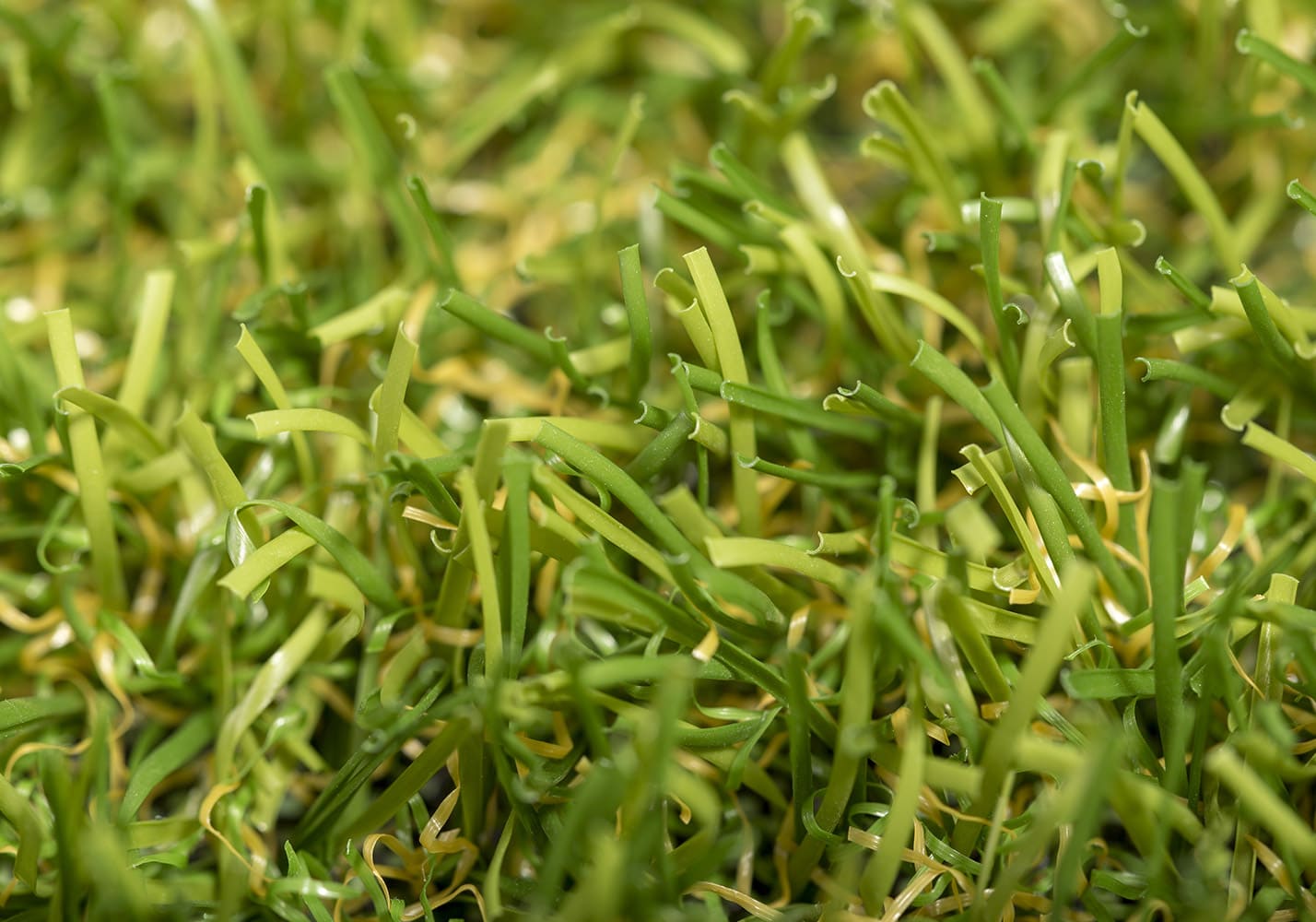 Basicplus Artificial Turf - Realturf UK