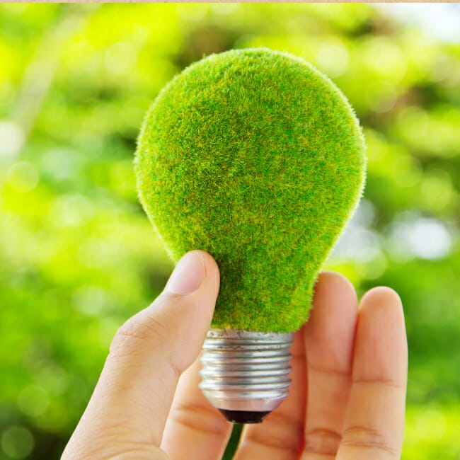 Tradition and innovation - Realturf UK